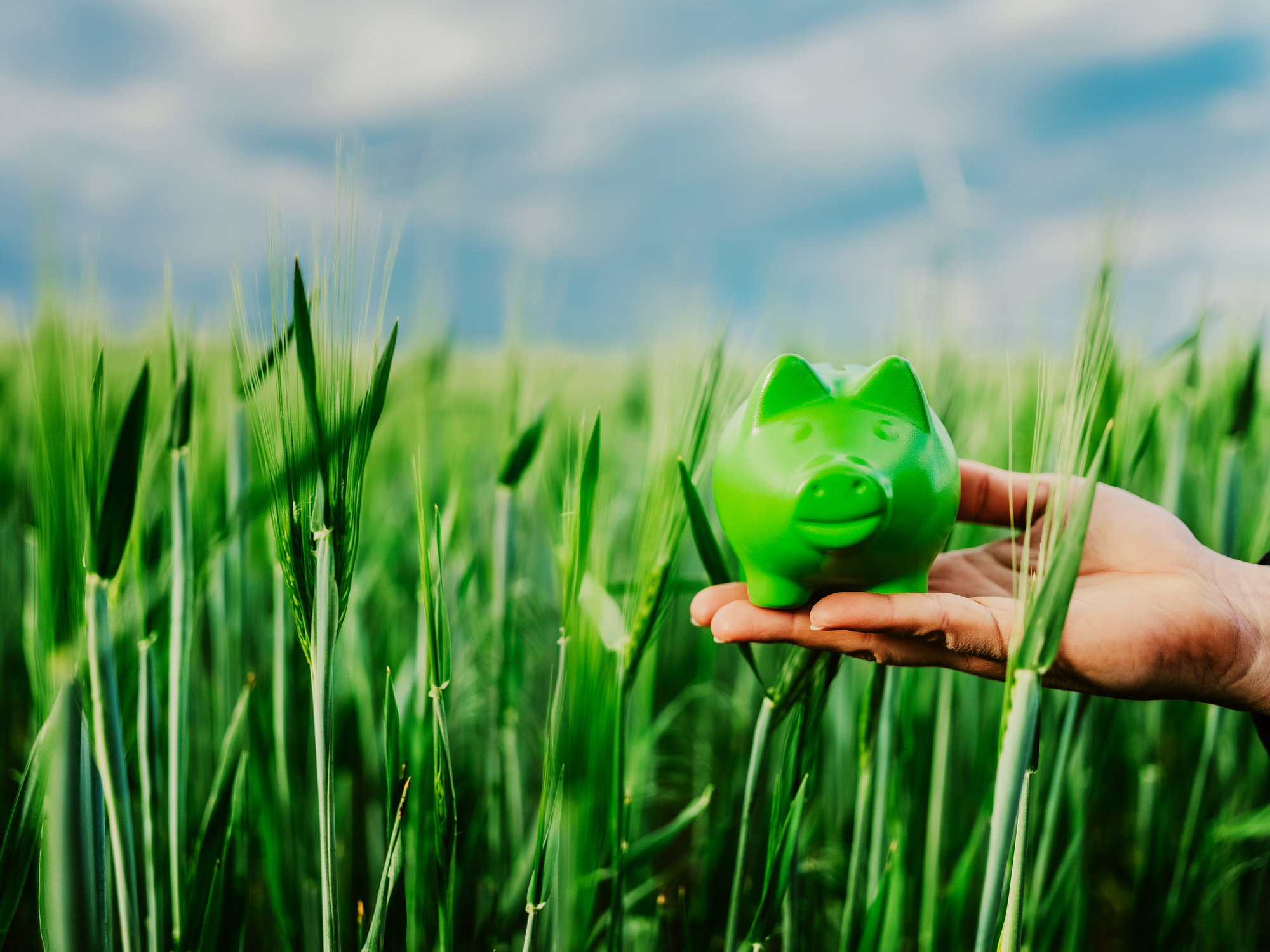 Efama calls for ESG ratings regulation