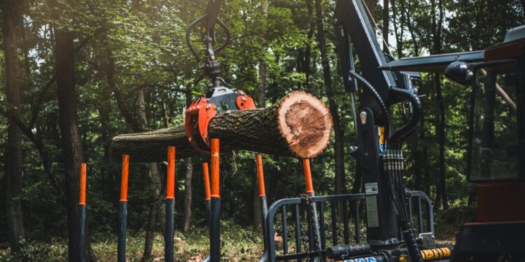 Next pension scheme invests in timberland