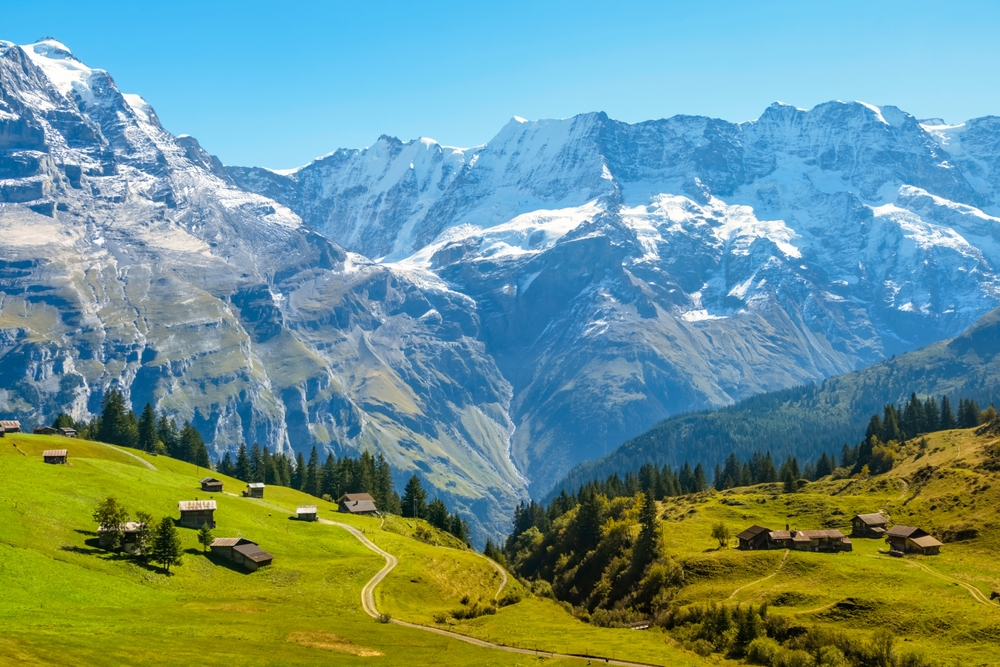 Liontrust hires Swiss distribution head - Funds Europe
